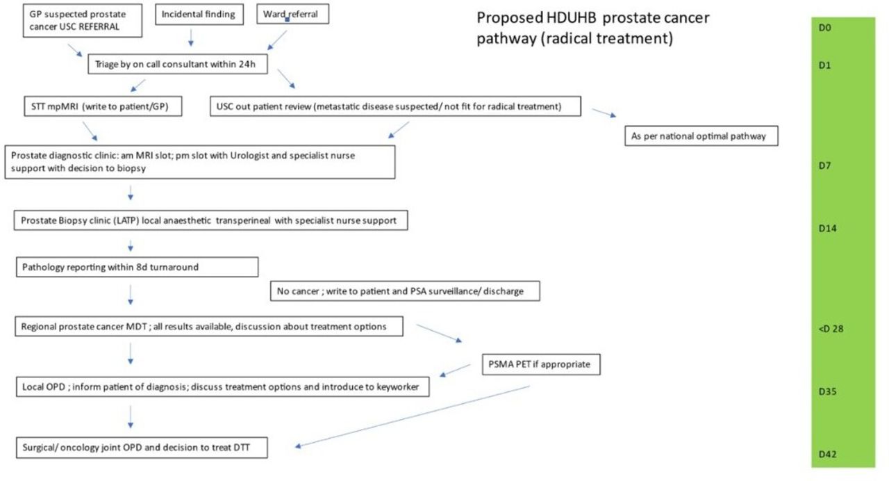 How and under which circumstances does a rapid diagnostic pathway for ...
